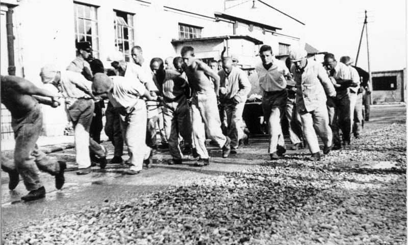 Zwangsarbeit | Europäische Menschenrechtskonvention